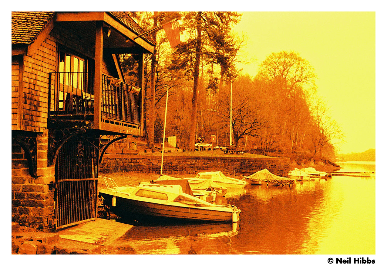 HARMAN RED 125 Redscale Film (35mm Roll Film, 36 Exposures) – PROCAM ...