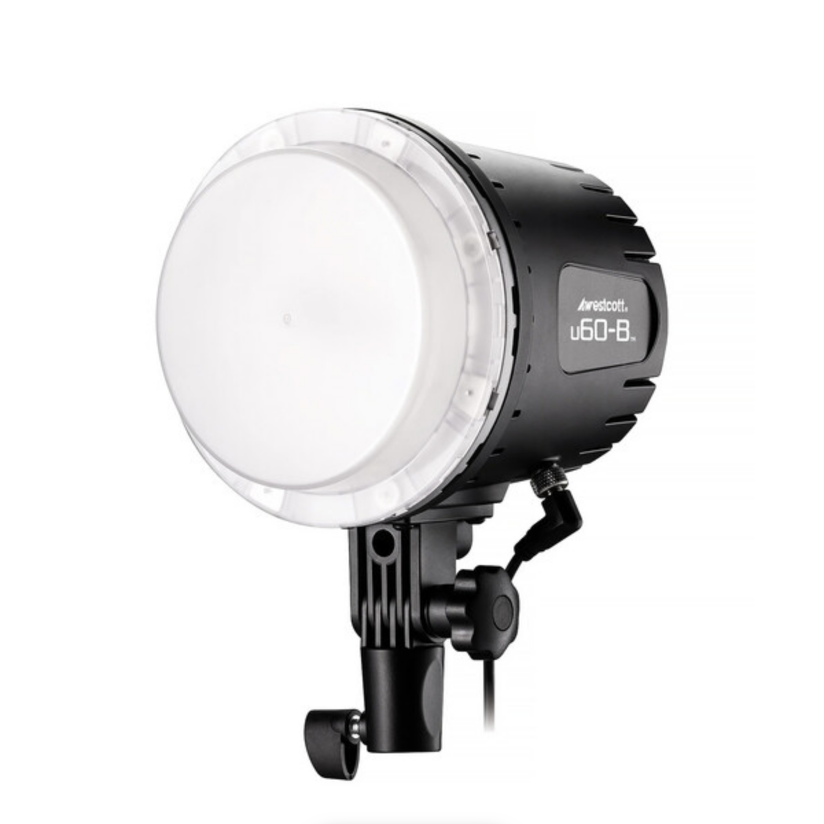 Westcott U60-B Bi-Color 2-Light LED Monolight Kit with 22" Octabox (2 ...