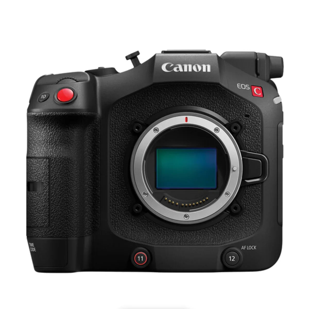 Canon EOS C80 6K Full-Frame Cinema Camera (Canon RF) at PROCAM | Shop ...